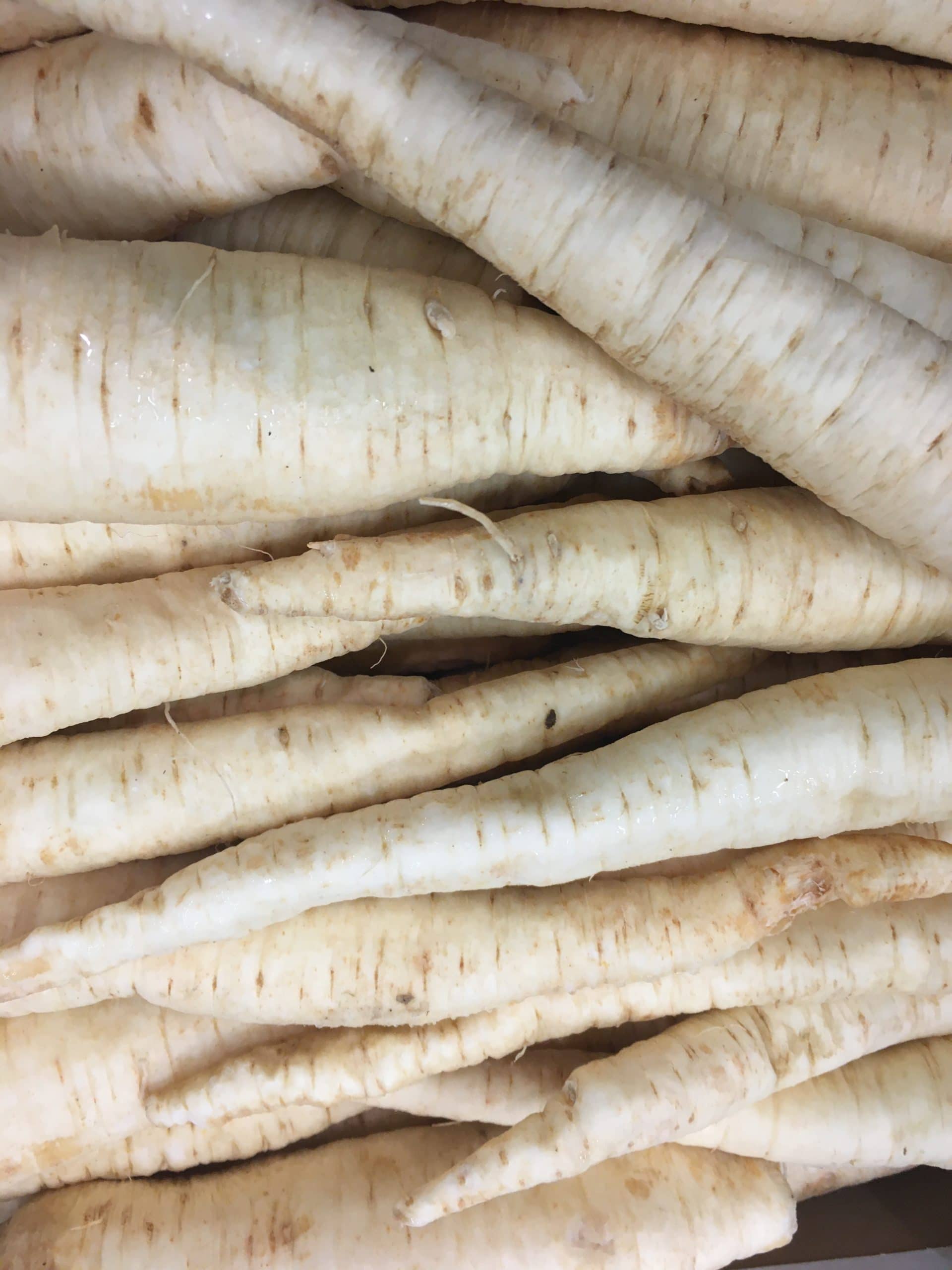 Persil racine - 500g - Catégorie 1 - Bretagne - Le Petit Fruité